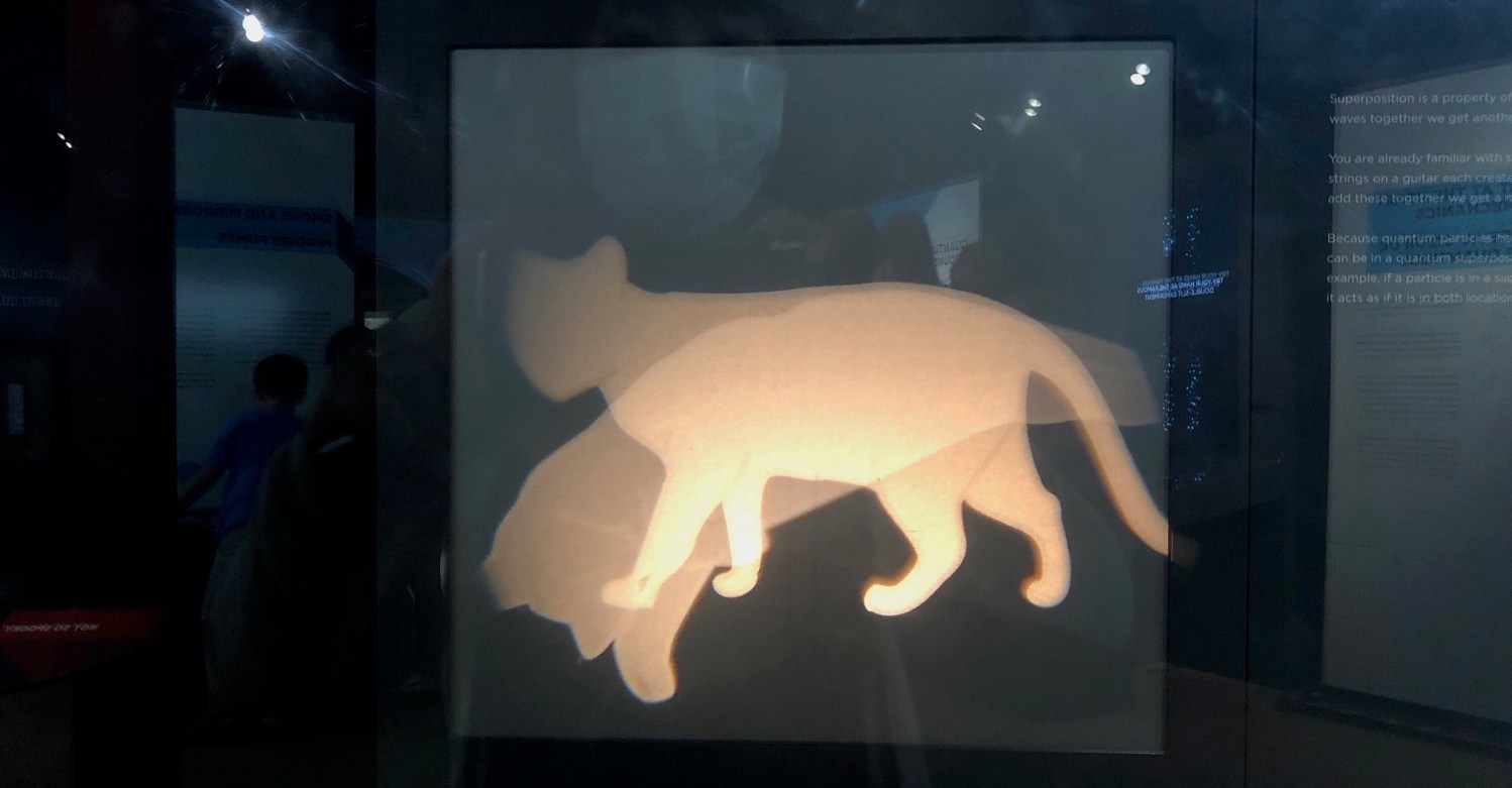 Superpositioned Cat and Person – Raku Advent Calendar